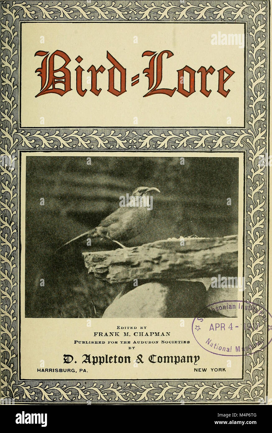 Bird lore (1917) (20383834215 Stock Photo - Alamy