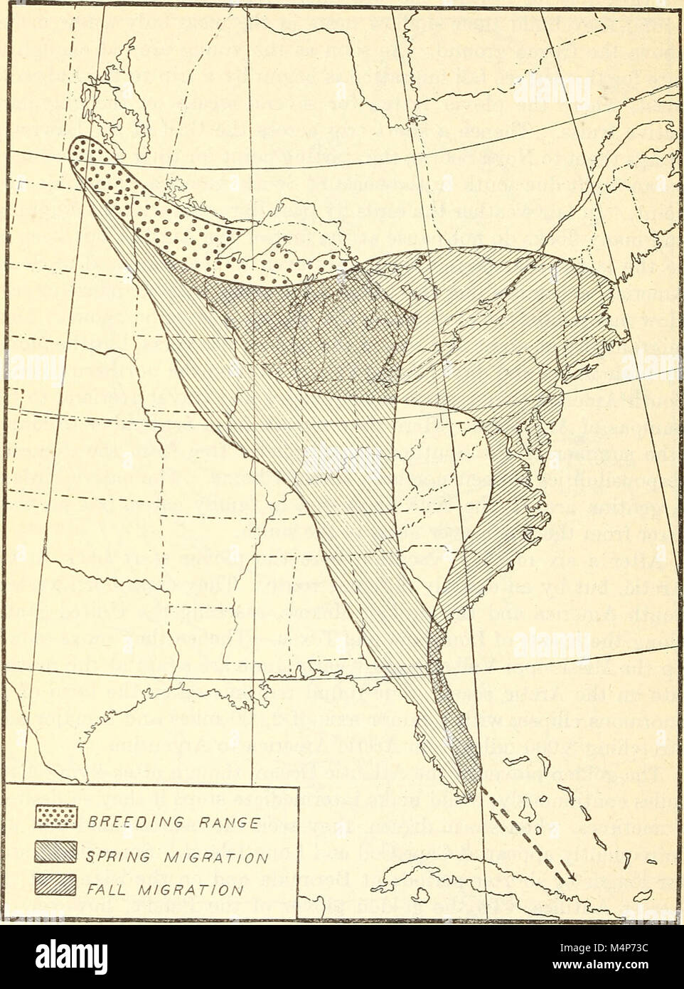 Bird migration (1915) (14726746176 Stock Photo - Alamy
