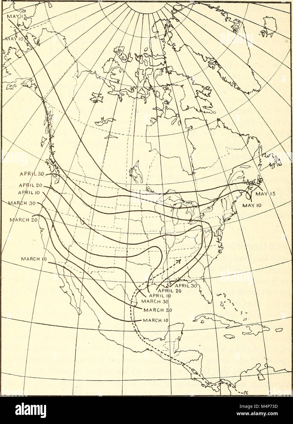 Bird migration (1915) (14746574521 Stock Photo - Alamy