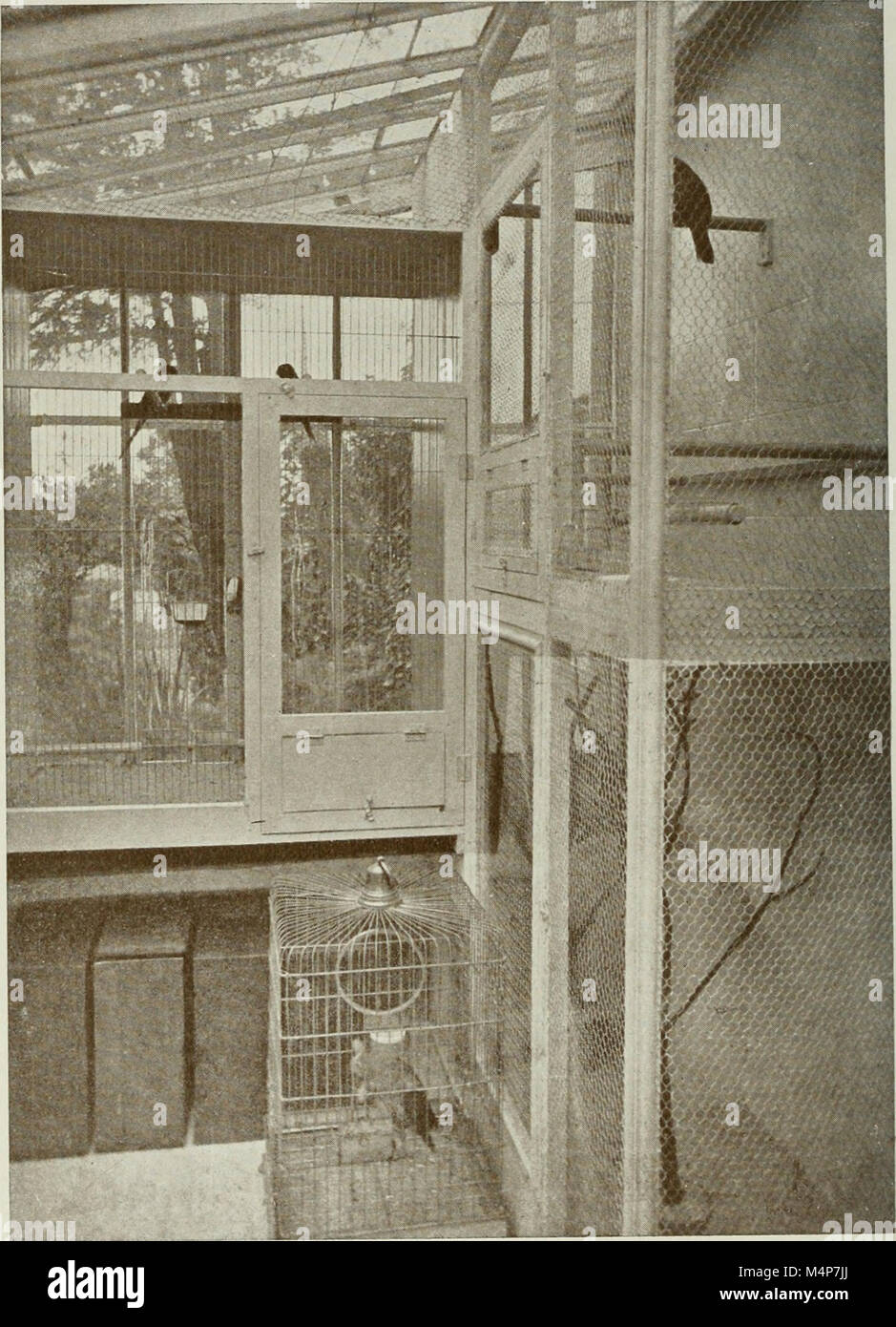 'Bird Notes' (1908) is a collection of observations on various bird ...