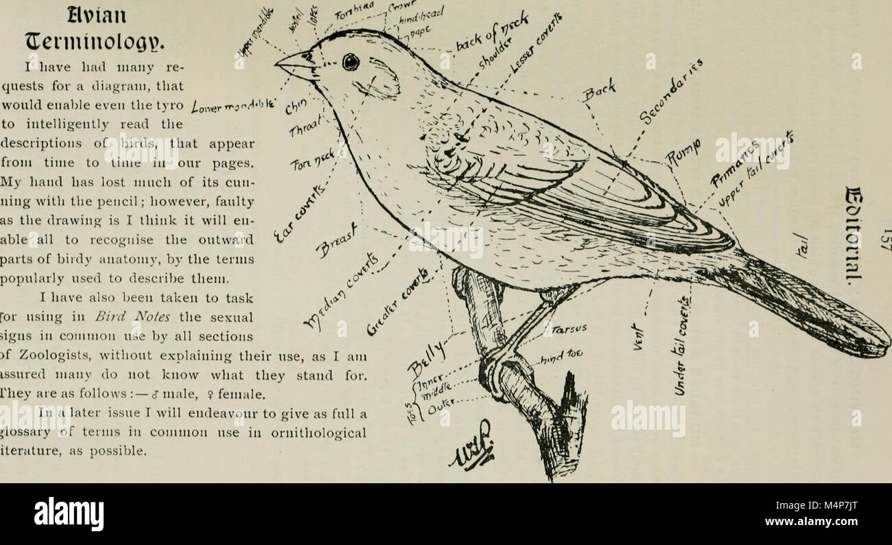 Bird notes (1908) (14748235022 Stock Photo - Alamy