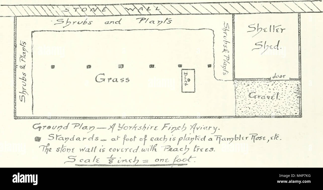 This 1911 work presents observations and notes on bird behavior ...