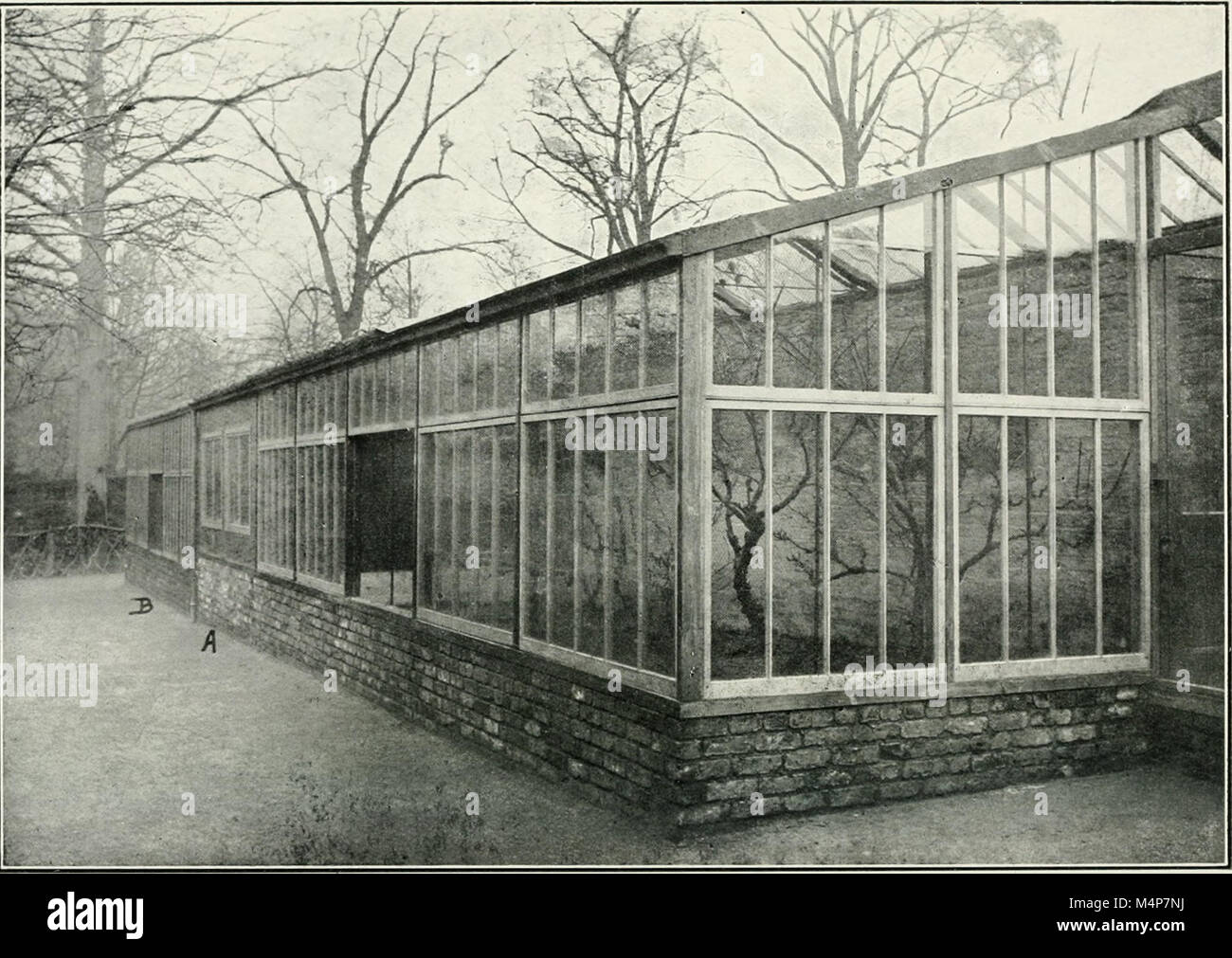 'Bird Notes', published in 1913, compiles observations and findings on ...