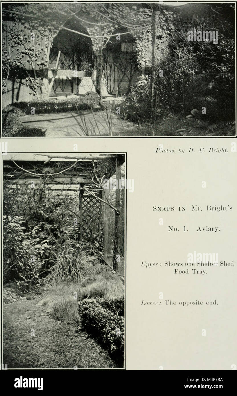 Bird notes (1916) (14771367253 Stock Photo - Alamy