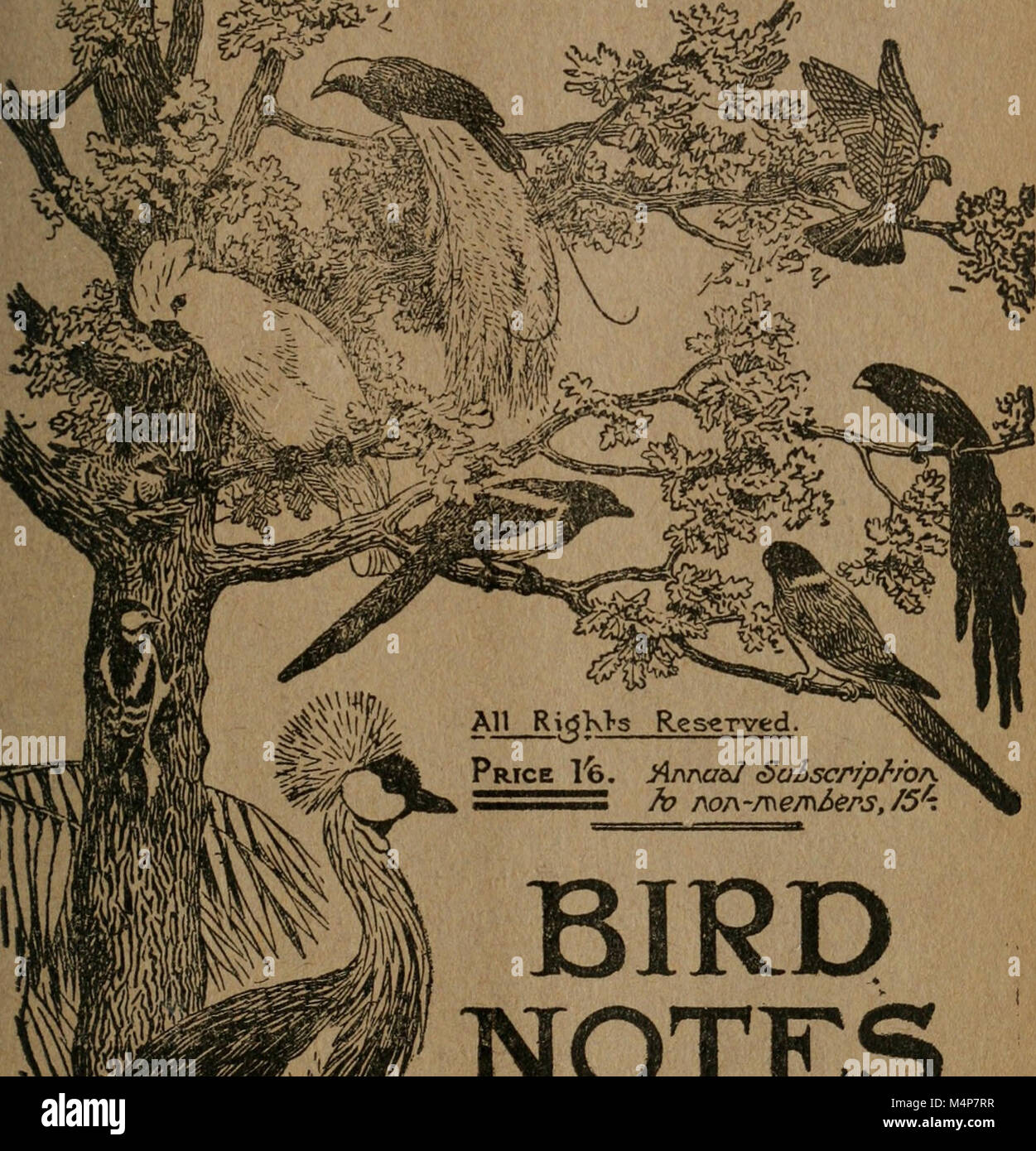 Bird Notes (1917) is a publication that offers observations and records ...