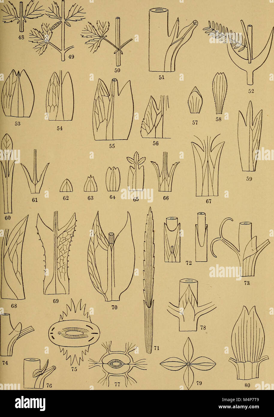The 1897 edition of the Annals of the New York Academy of Sciences ...