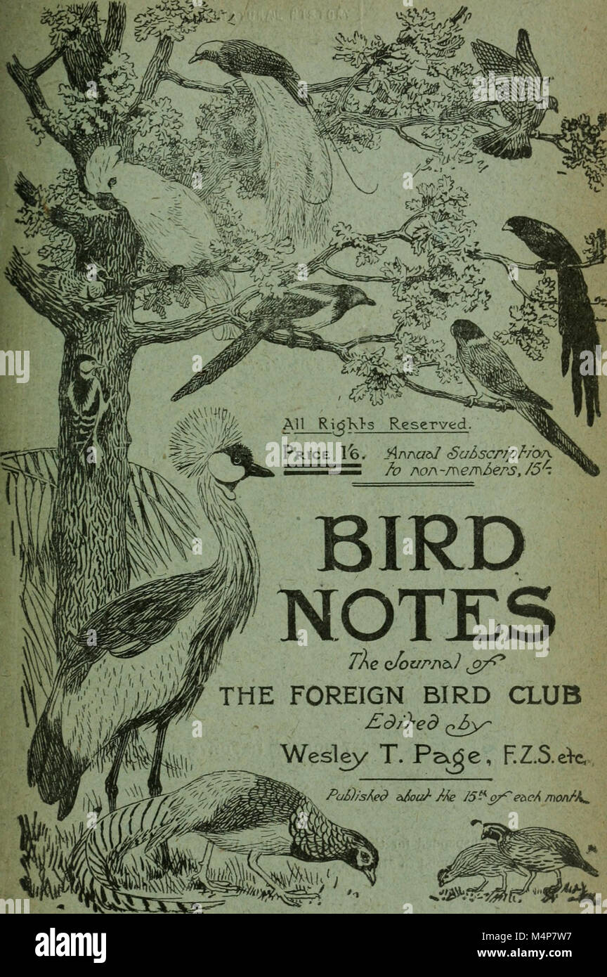 'Bird Notes' (1919) is a compilation of observations and studies on ...