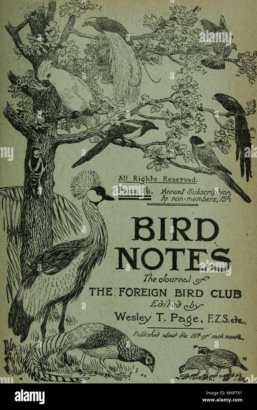 'Bird Notes' (1919) is a compilation of observations and studies on ...