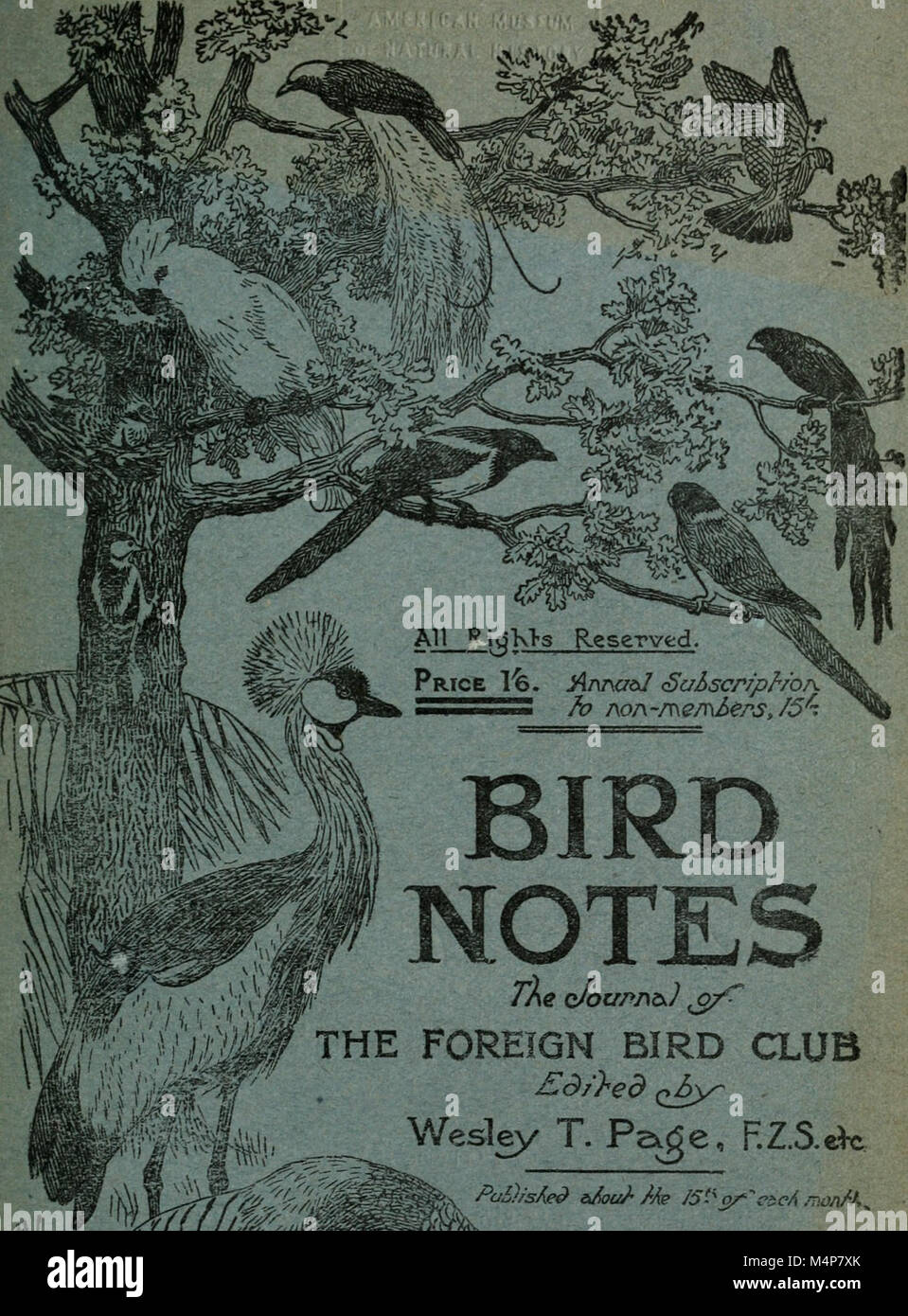 Bird notes (1922) (14569191257 Stock Photo - Alamy