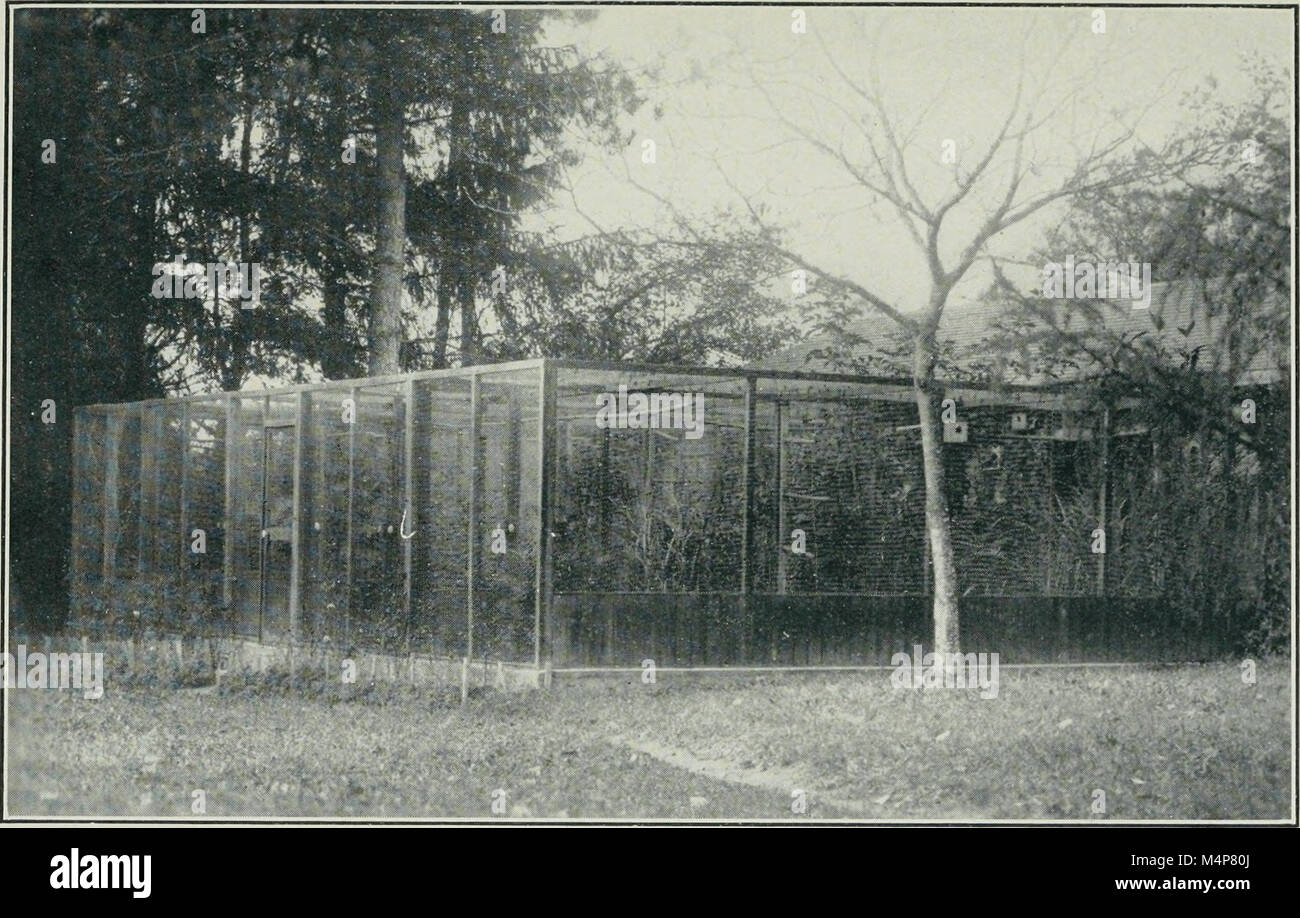 *Bird Notes* (1923) is a collection of observations on bird species ...