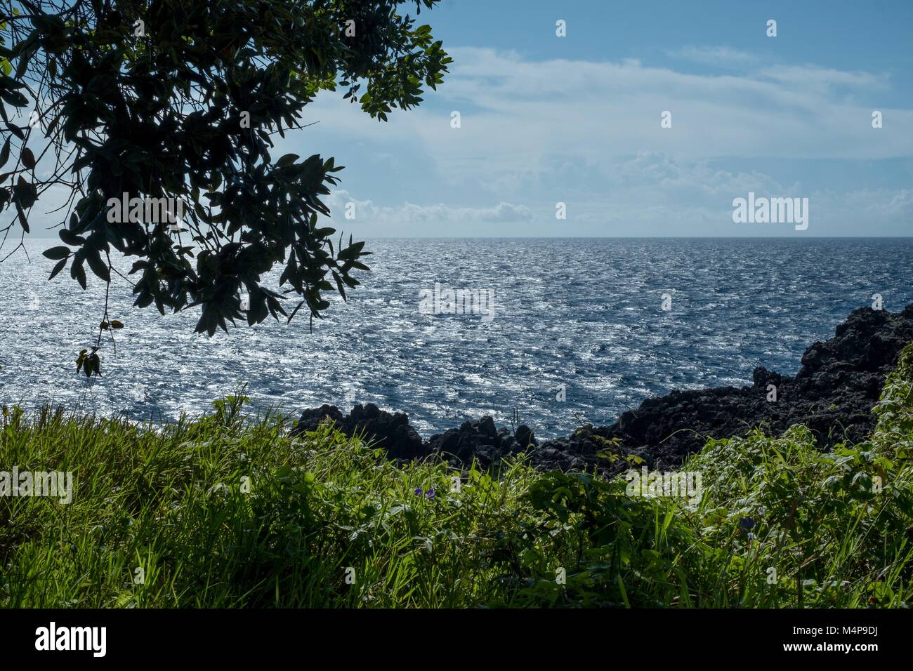 Ocean glimpse hi-res stock photography and images - Alamy