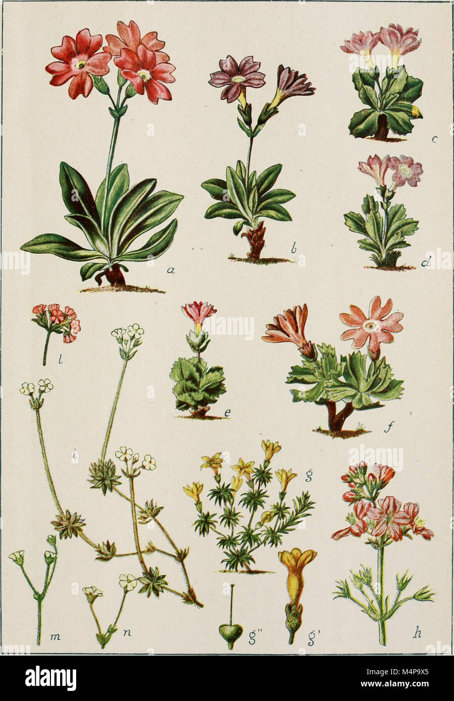 Bollettino Tecnico, published from 1919 to 1921, is a technical journal ...