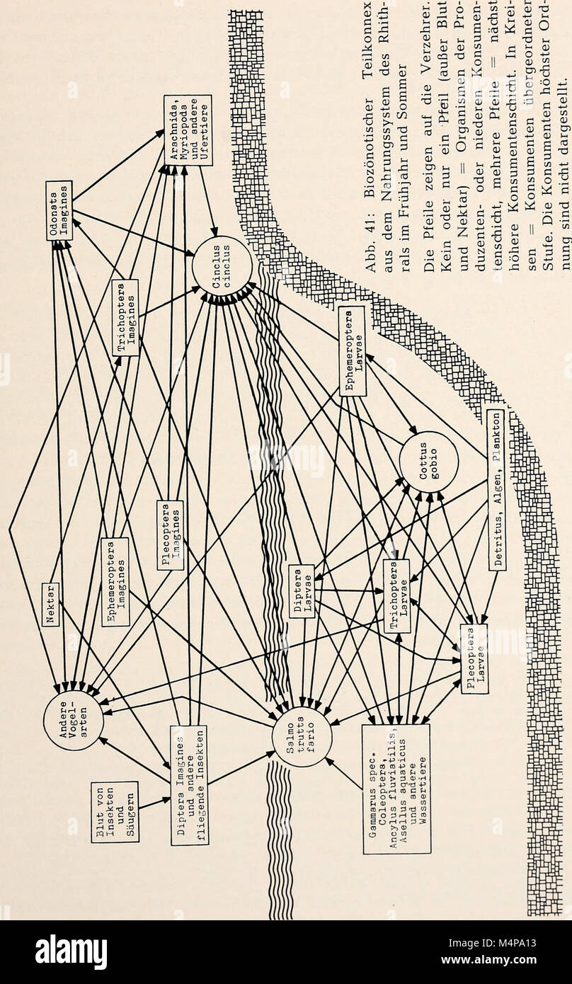The 1975 publication of 'Bonner zoologische Monographien' is a series ...