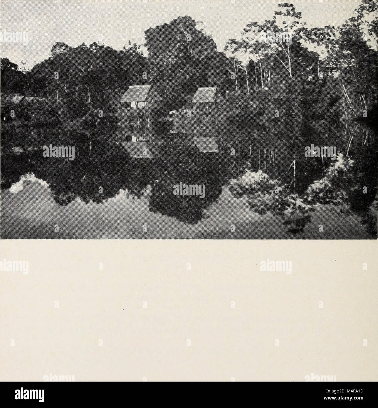 The *Bonner Zoologische Monographien* series (1975) includes detailed ...