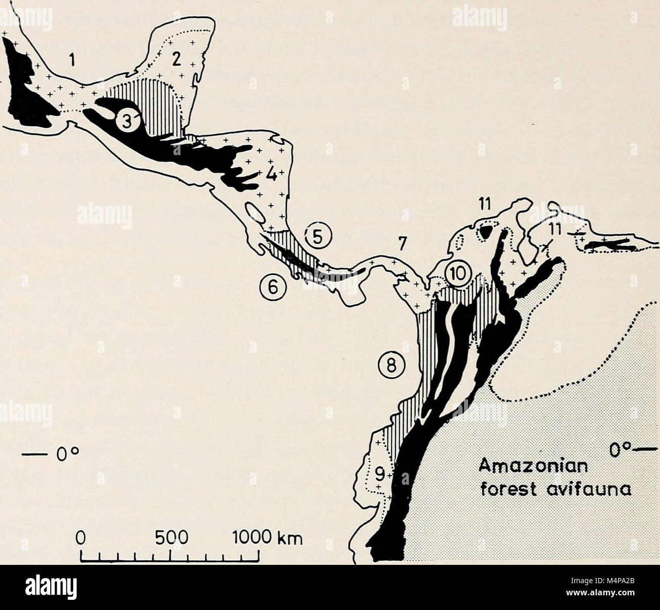 The 1975 Bonner Zoologische Monographien provides extensive research on ...