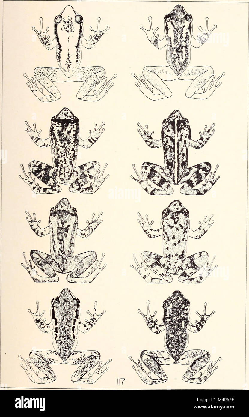 This 1978 series, *Bonner Zoologische Monographien*, provides in-depth ...