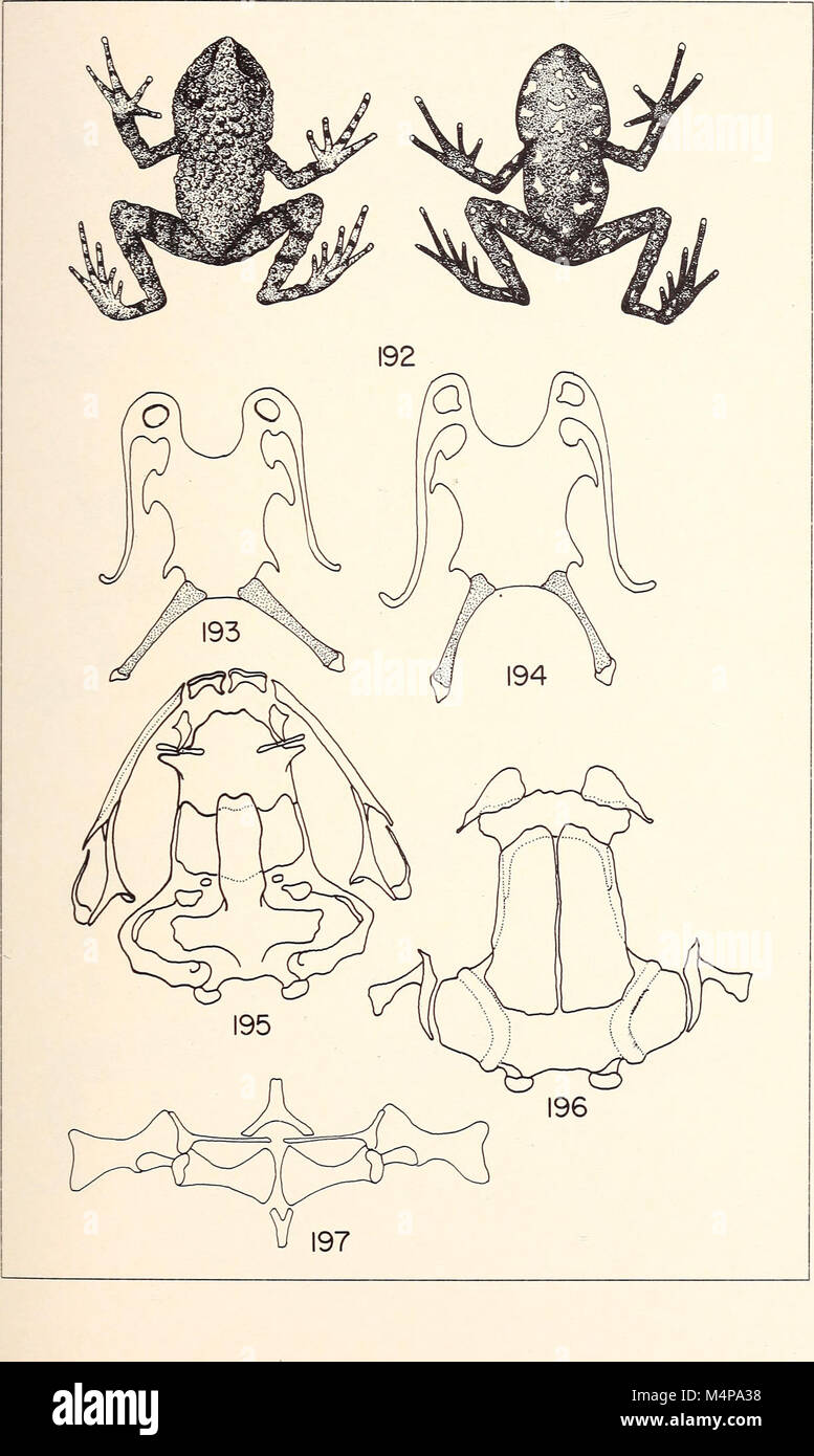 The 'Bonner zoologische Monographien' (1978) is a series of zoological ...