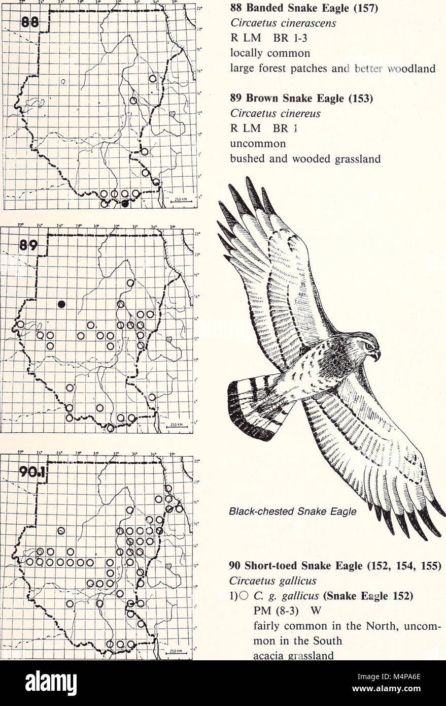 *Bonner Zoologische Monographien* (1986) is a scientific journal ...