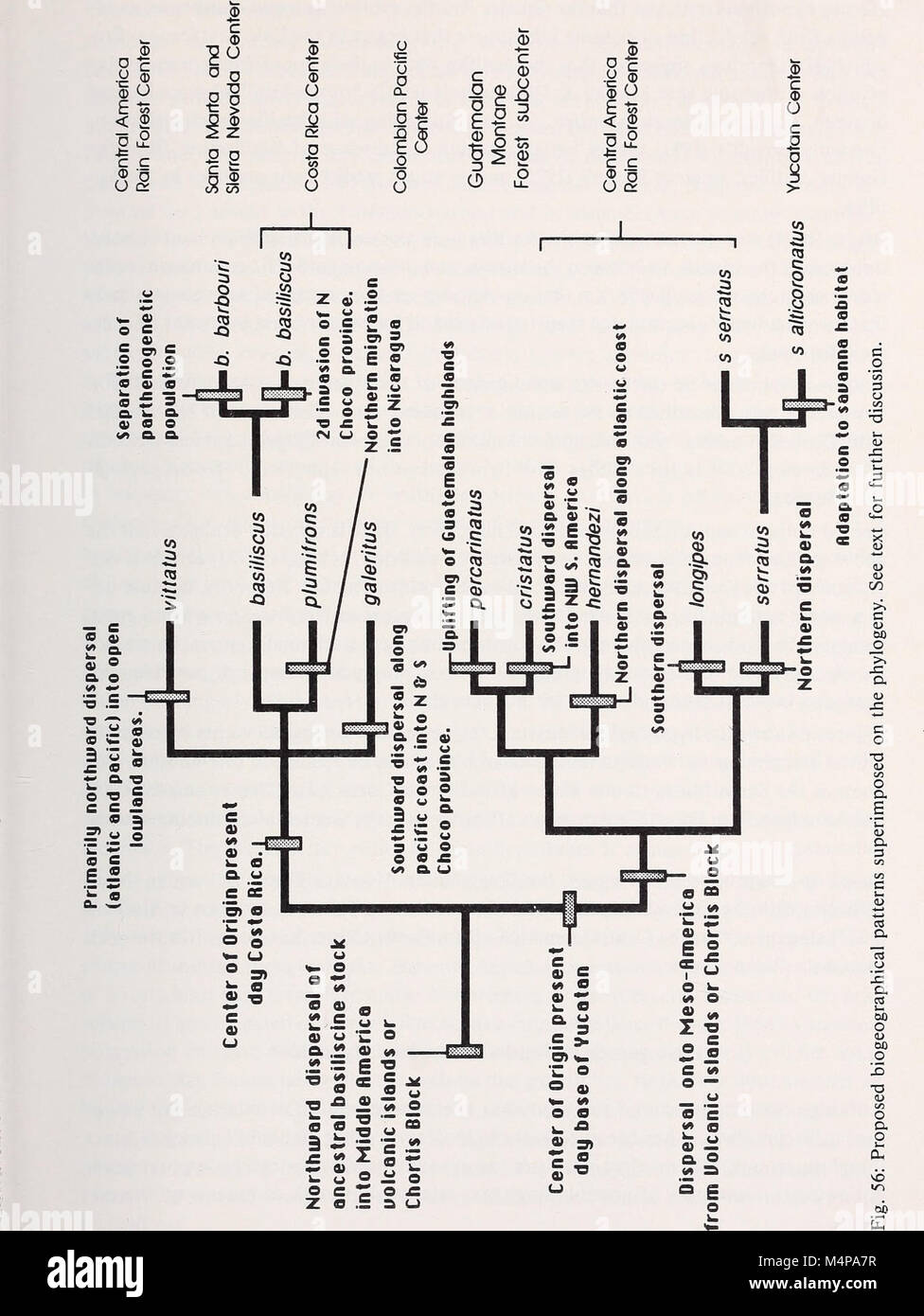 The Bonner Zoologische Monographien (1988) is a series of monographs ...