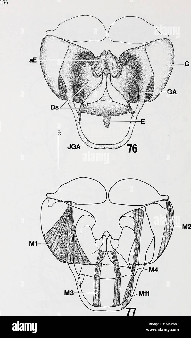 The 'Bonner Zoologische Monographien' (1990) is a scholarly series of ...
