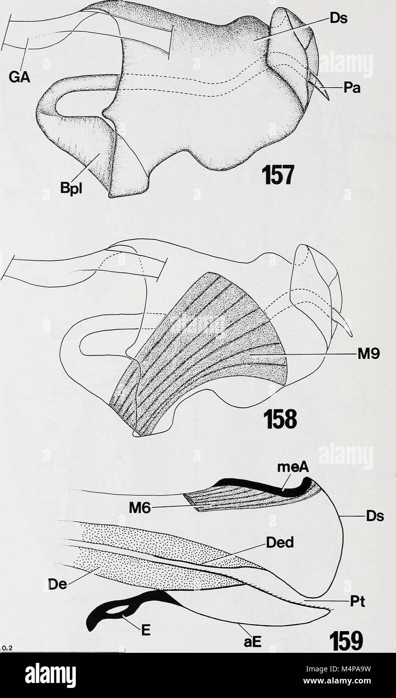 The 'Bonner Zoologische Monographien' (1990) is a zoological journal ...