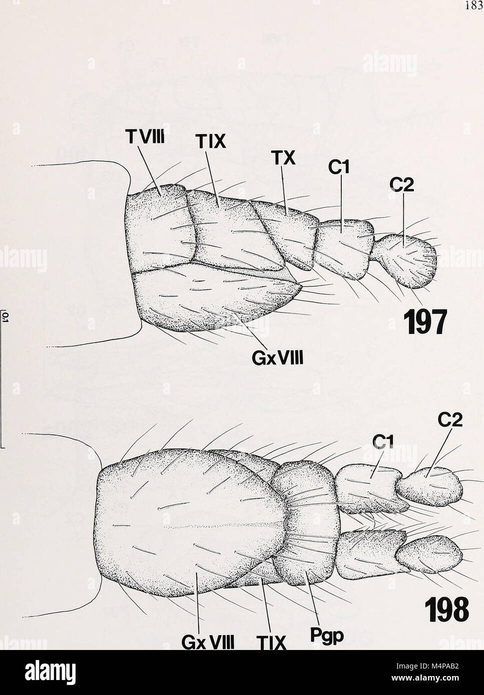 *Bonner Zoologische Monographien* (1990) is a scientific journal ...