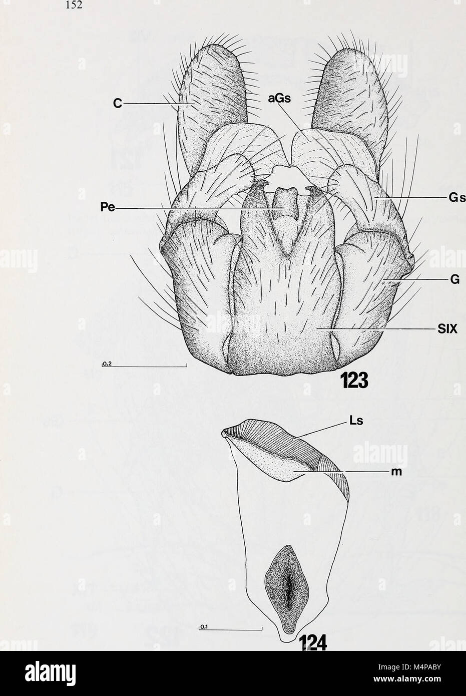 *Bonner zoologische Monographien* (1990) is a series of zoological ...