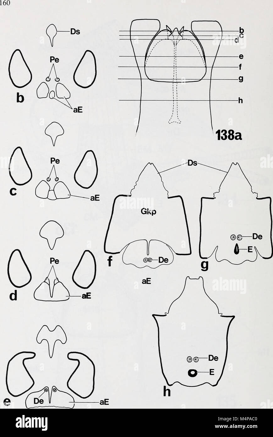 The *Bonner Zoologische Monographien* (1990) features in-depth ...