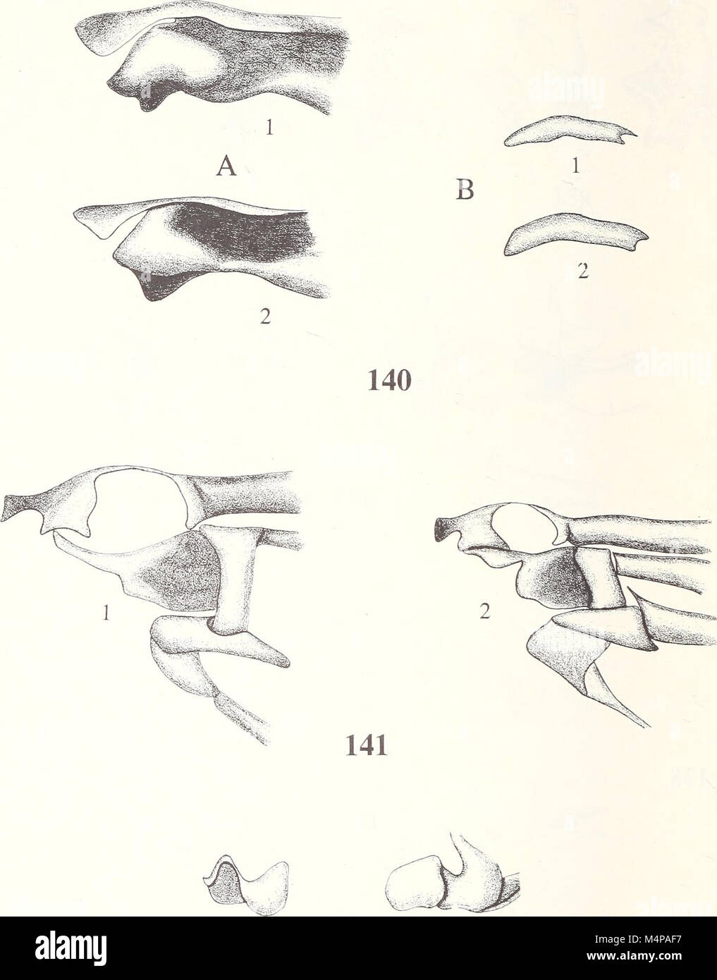 'Bonner zoologische Monographien' (1996) is a series of monographs ...