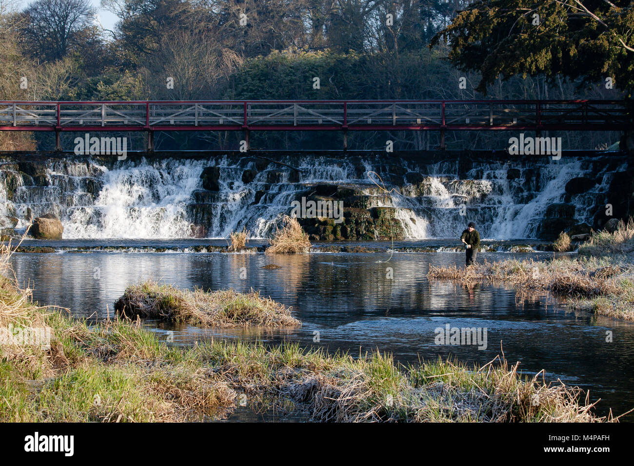 Man angler fly fishing at the Salmon Leap Weir on The River Rye in ...