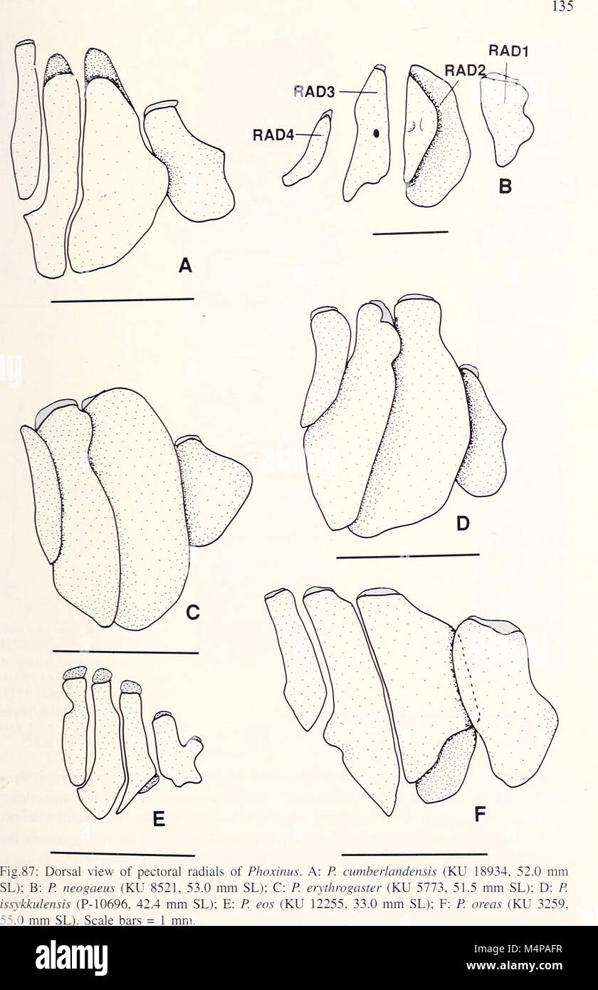 *Bonner Zoologische Monographien* (1996) is a scientific journal that ...
