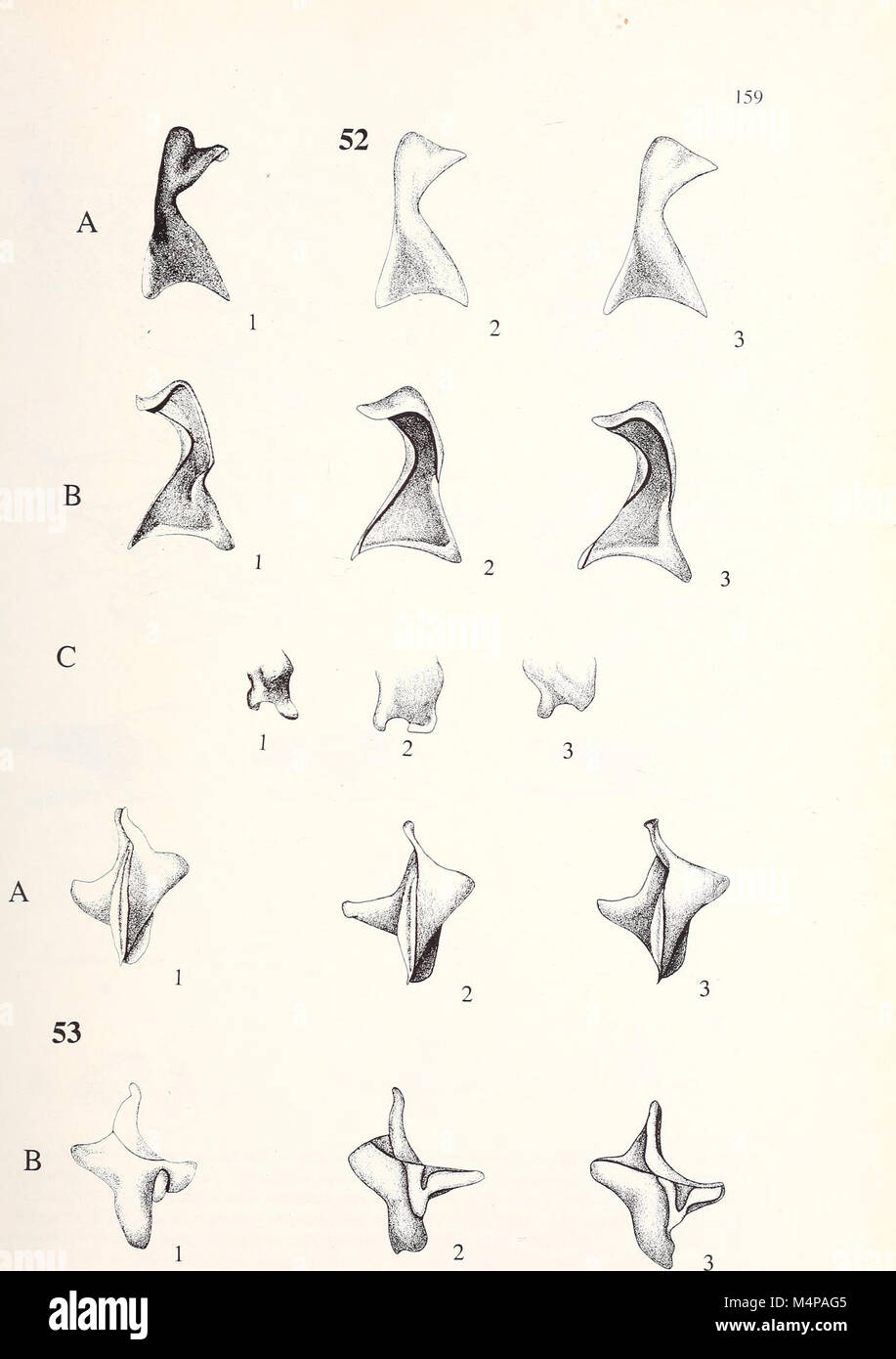 The 1996 edition of the Bonner Zoologische Monographien features in ...