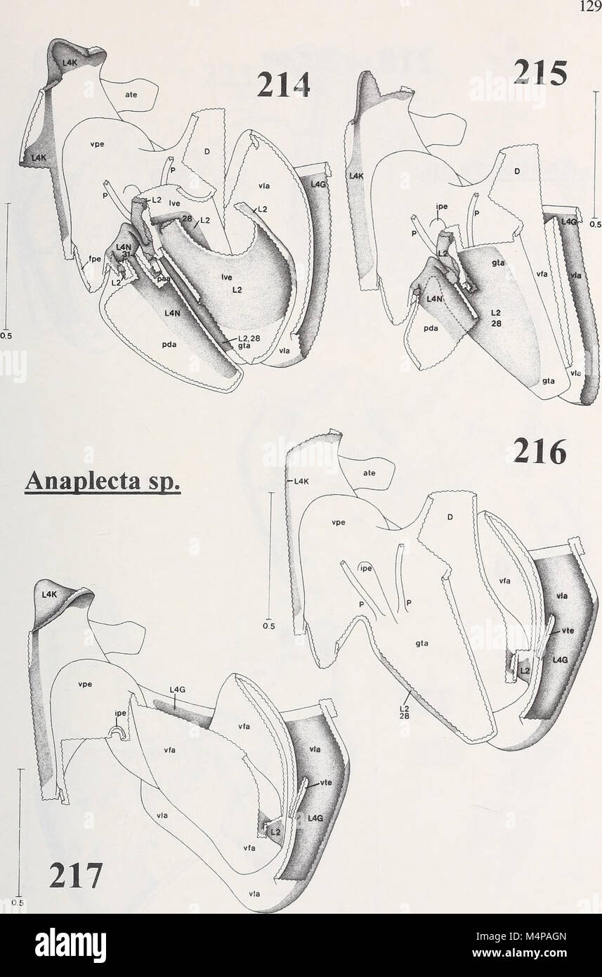 The Bonner Zoologische Monographien (1997) is a series of zoological ...