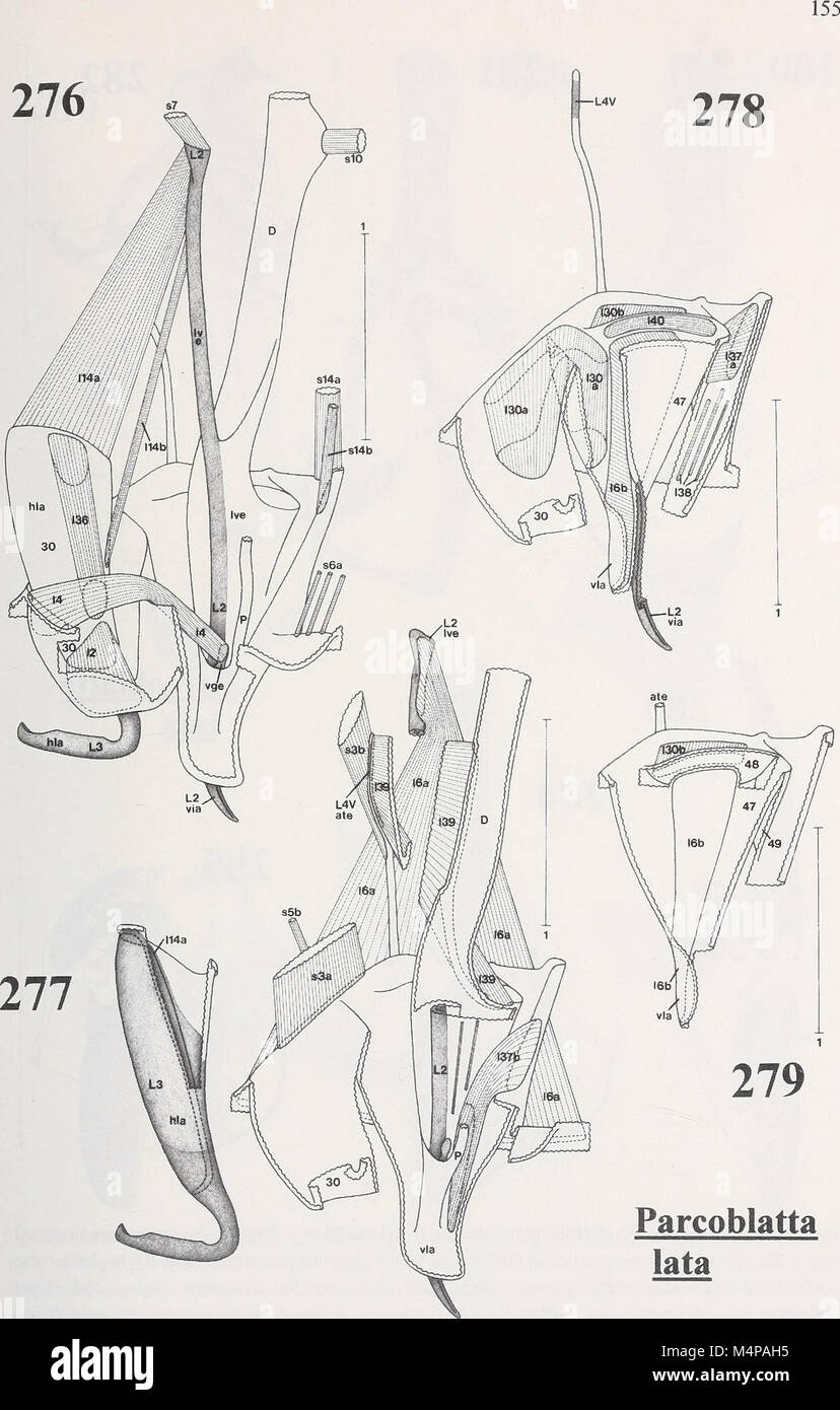 'Bonner zoologische Monographien' (1997) is a series of zoological ...