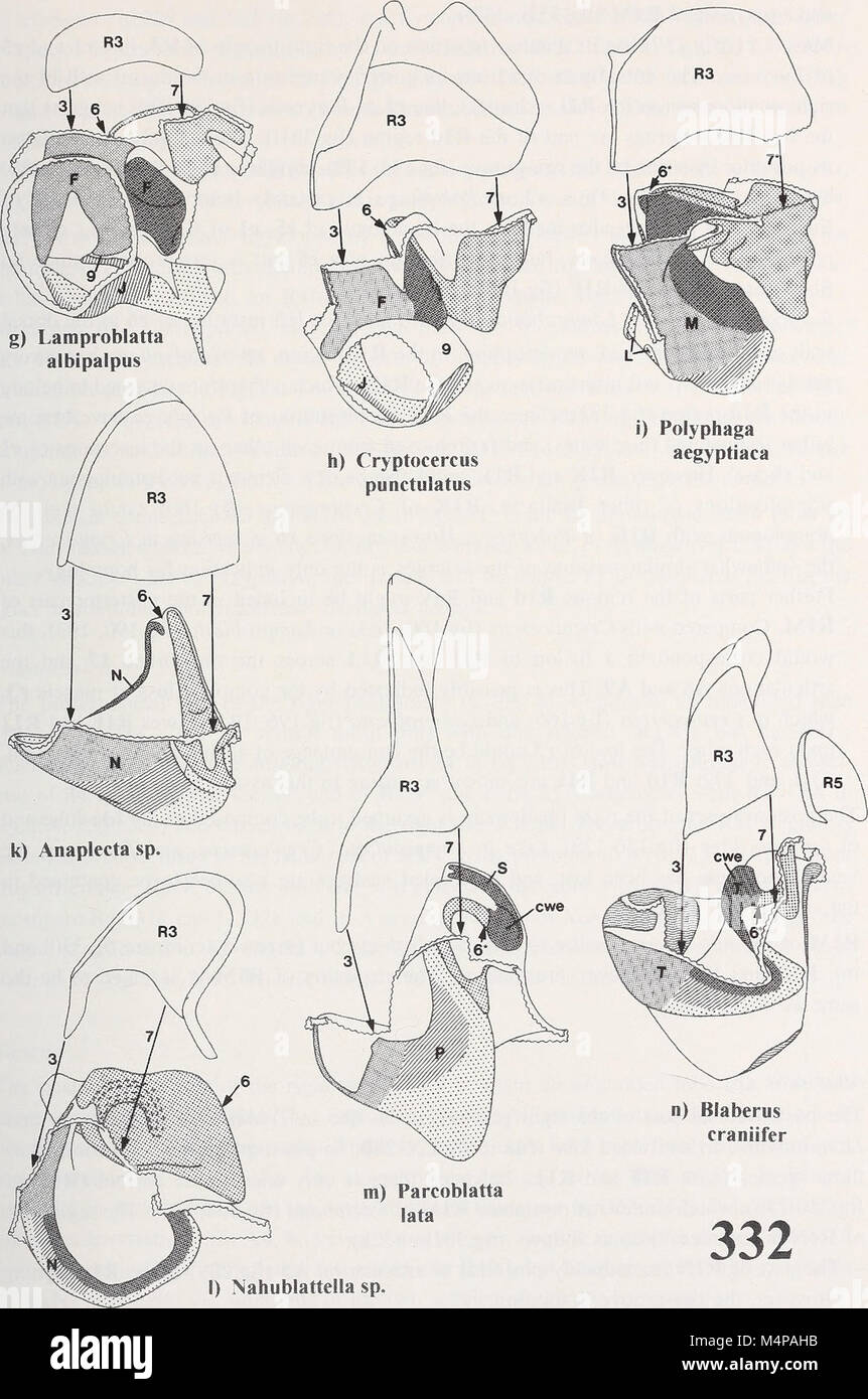 'Bonner Zoologische Monographien' (1997) is a scientific series that ...