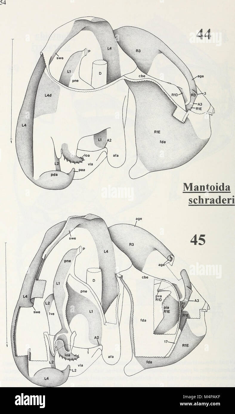 The 'Bonner Zoologische Monographien' (1997) is a scientific ...