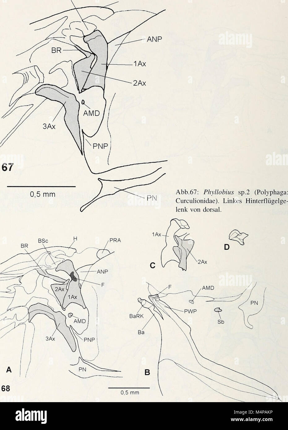 Bonner Zoologische Monographien, published in 1997, is a series of ...