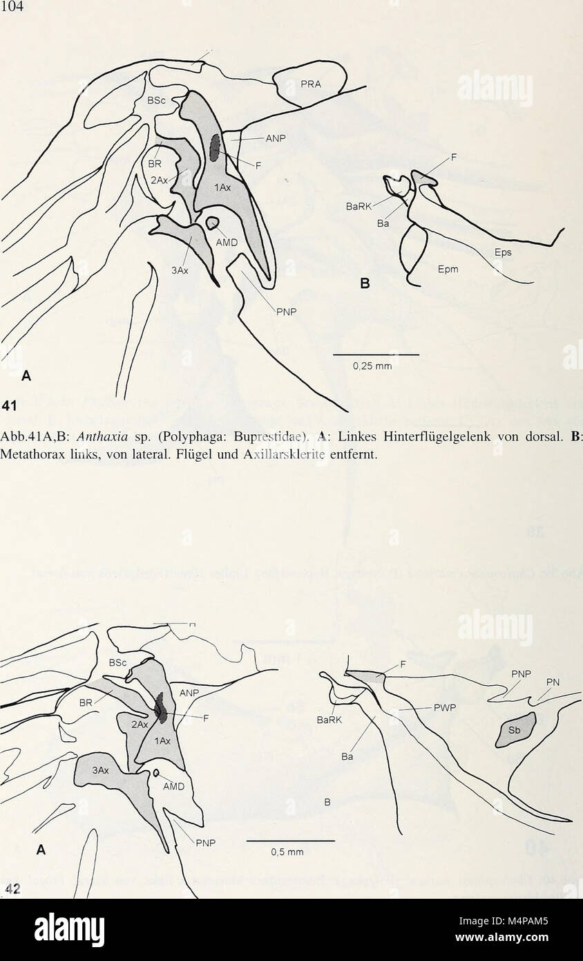 The 'Bonner zoologische Monographien' (1997) is a series of zoological ...