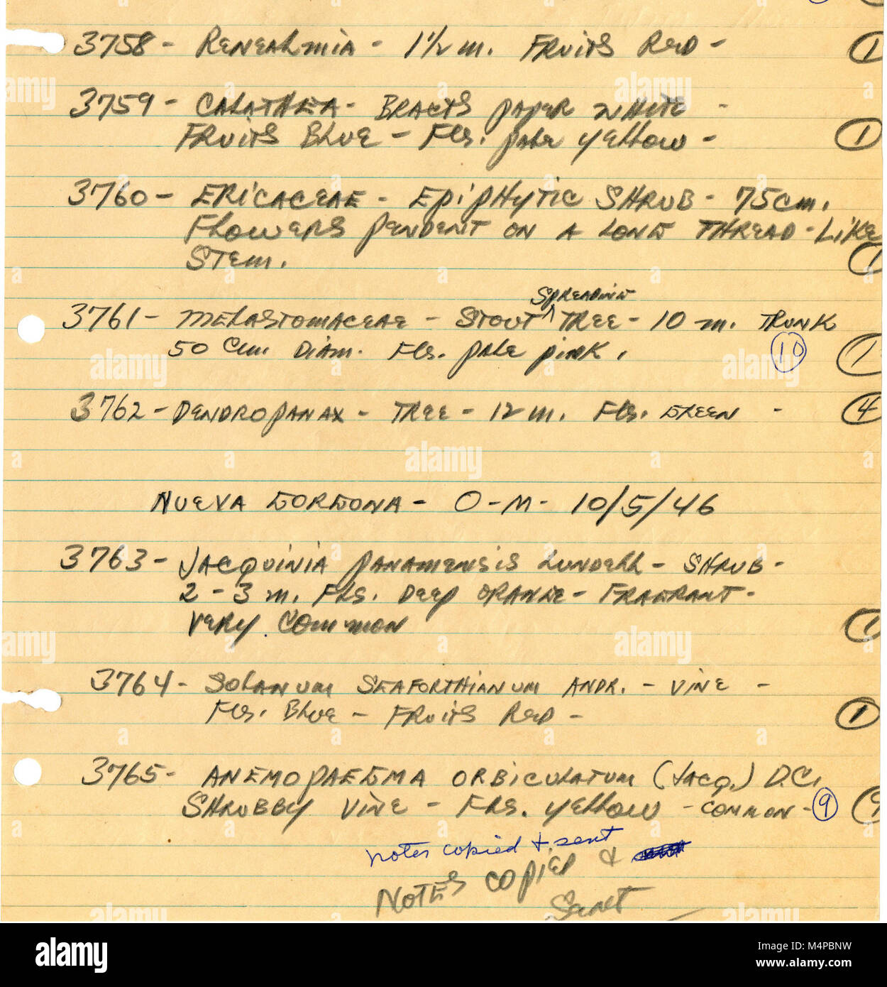 Book 2, field notes, Panama, Colombia, 1942-1947 (1941-1947 ...