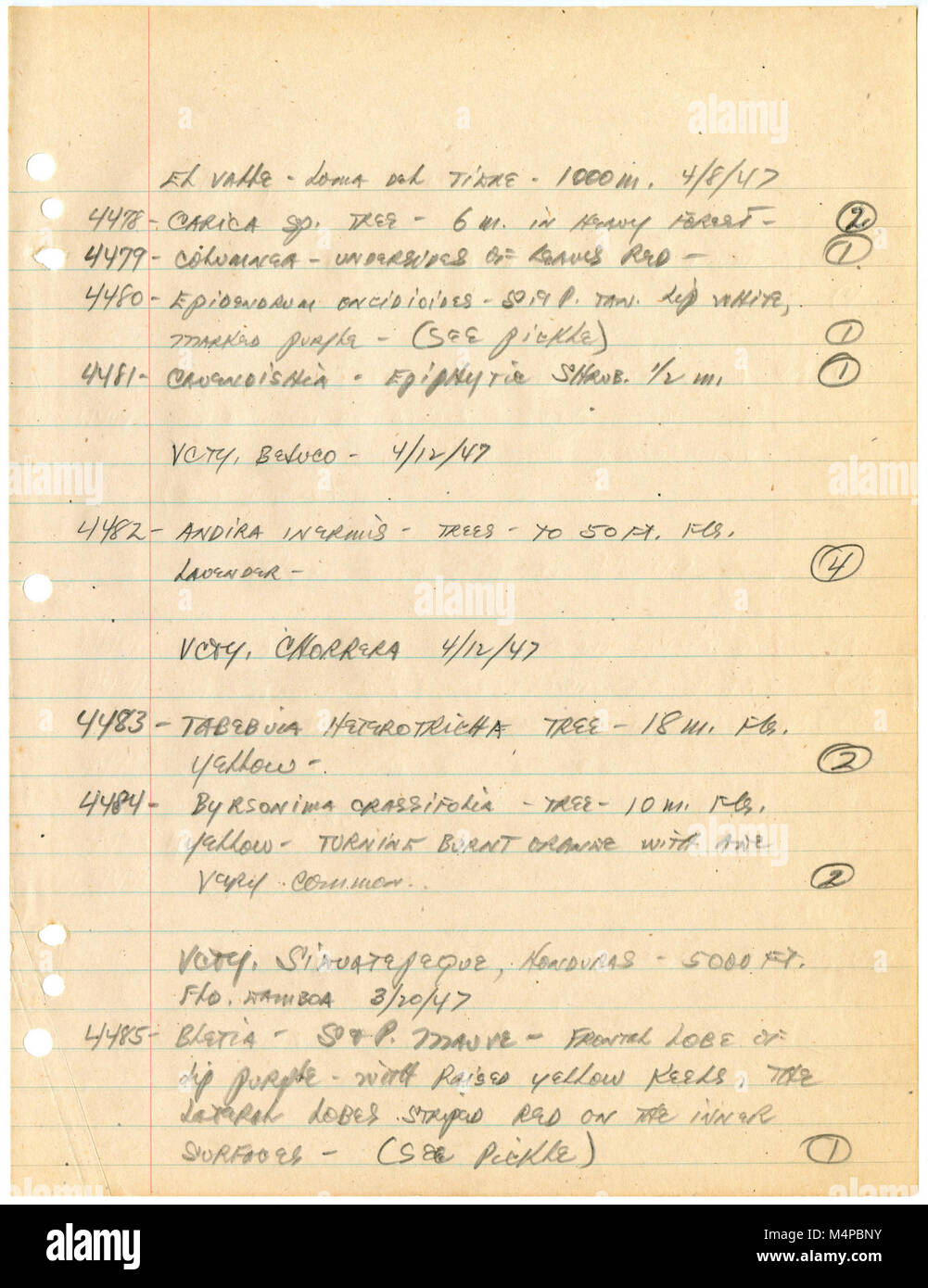 Book 2, field notes, Panama, Colombia, 1942-1947 (1941-1947 ...
