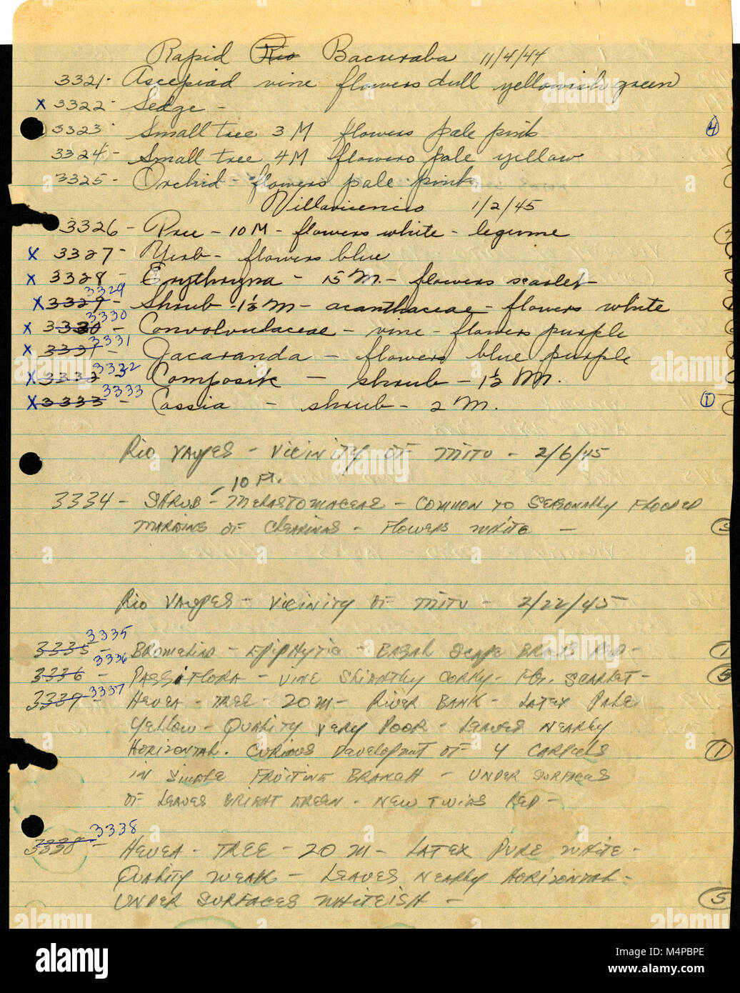 Book 2, field notes, Panama, Colombia, 1942-1947 (1941-1947 ...