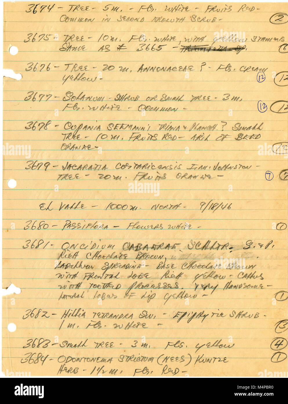 Book 2, field notes, Panama, Colombia, 1942-1947 (1941-1947 ...