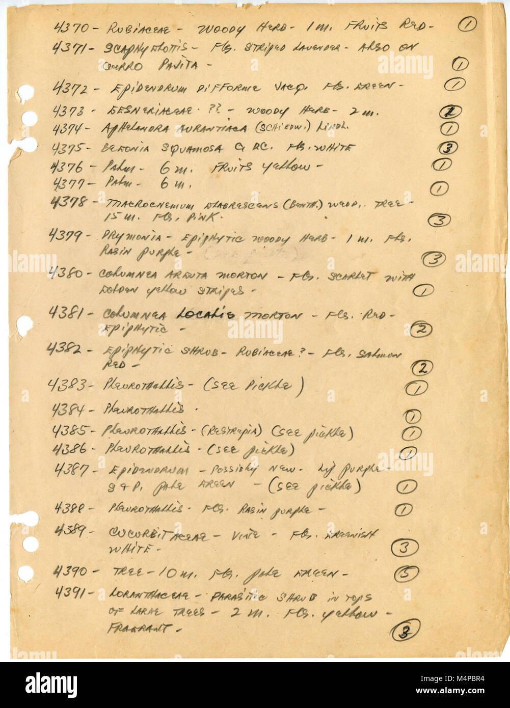 Book 2, field notes, Panama, Colombia, 1942-1947 (1941-1947 ...