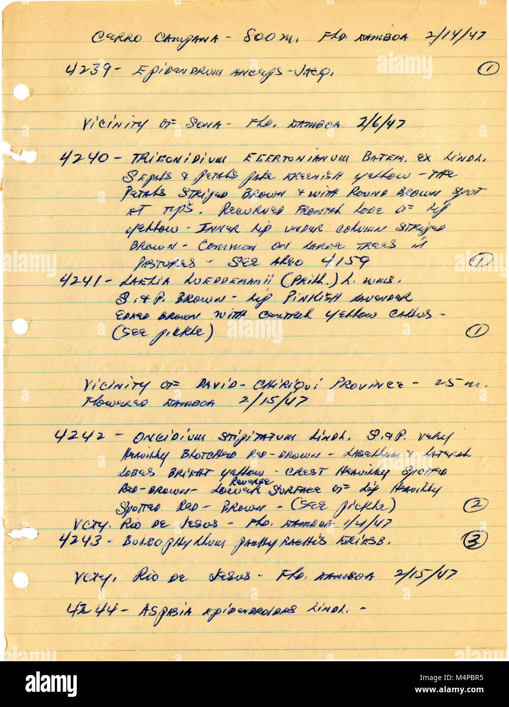 This field notes collection covers the period from 1942 to 1947 ...