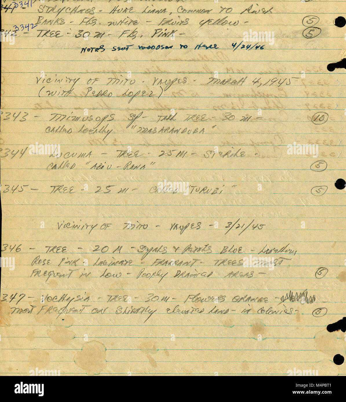 Book 2, field notes, Panama, Colombia, 1942-1947 (1941-1947 ...