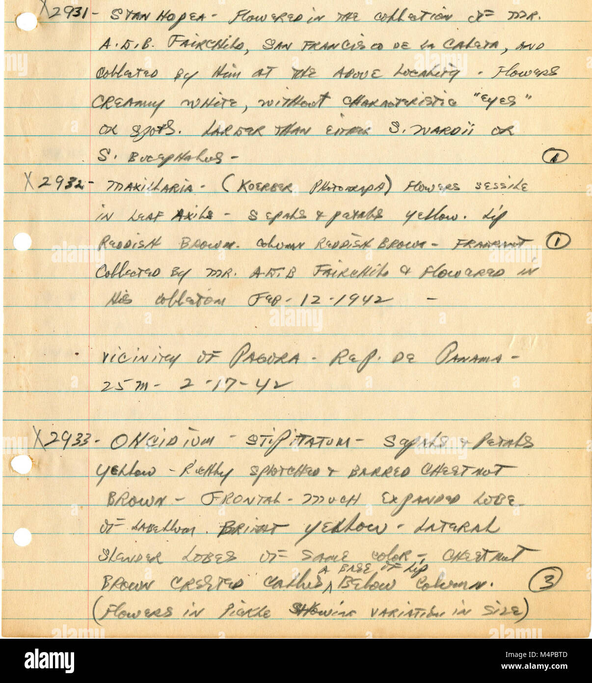 Book 2, field notes, Panama, Colombia, 1942-1947 (1941-1947 ...