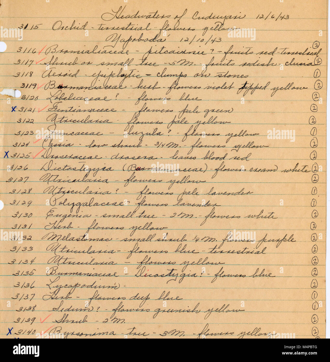 Book 2, field notes, Panama, Colombia, 1942-1947 (1941-1947 ...