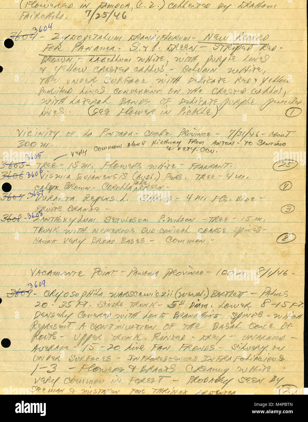 Book 2, field notes, Panama, Colombia, 1942-1947 (1941-1947 ...