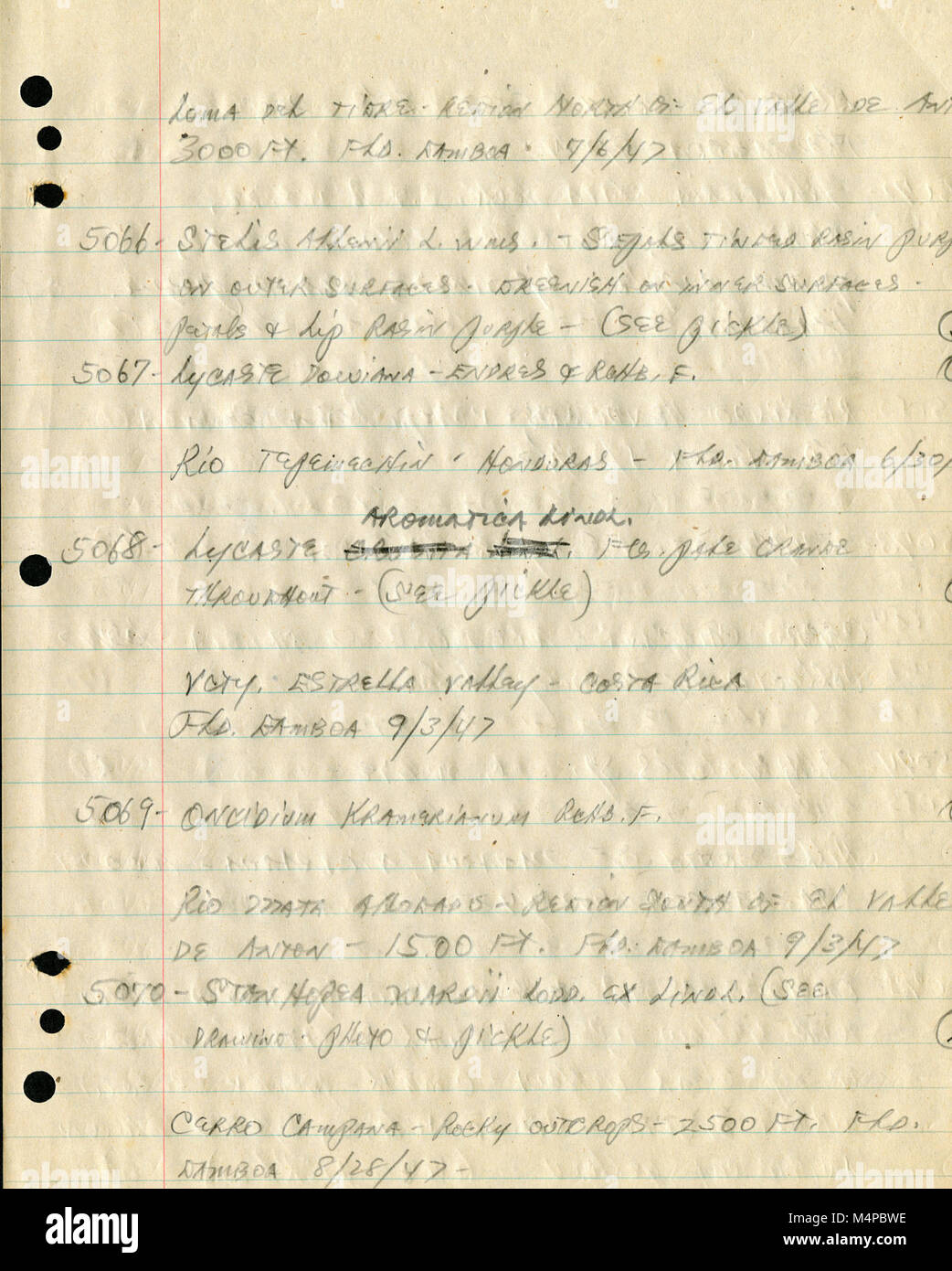 Book 2, field notes, Panama, Colombia, 1942-1947 (1941-1947 ...