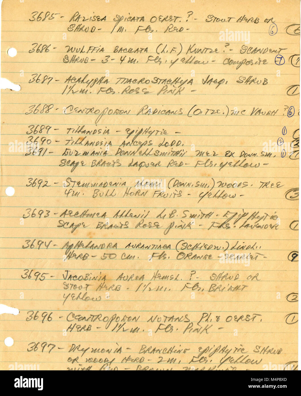 Book 2, field notes, Panama, Colombia, 1942-1947 (1941-1947 ...